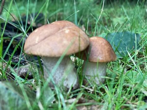 Астрологи назвали знаки Зодіаку представники яких будуть особливо везучими наступного тижня у