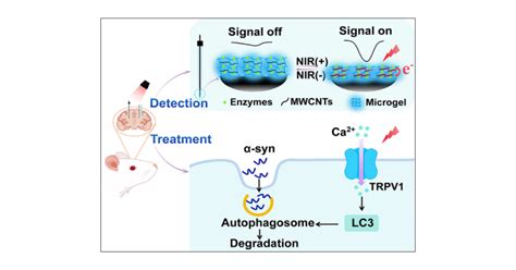 A Multifunctional Electrochemical Biosensor Based On Near Infrared