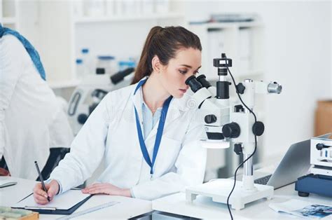 Microscope Scientist And Writing Notes In Science Laboratory For Medicine Biology And