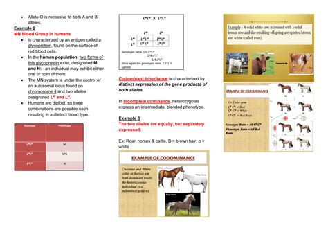 Beyond Mendels Laws Of Inheritancepdfa Beyond Mendels Laws Of Inheritancepdfa