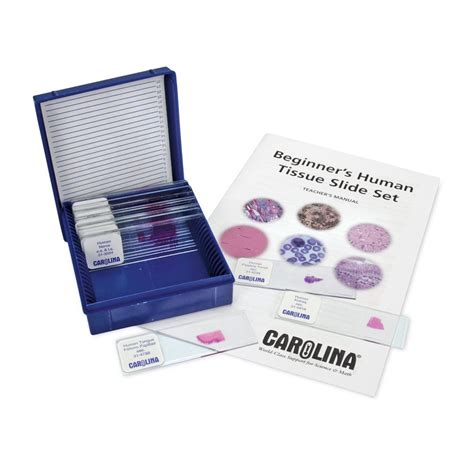 Beginners Human Tissue Microscope Slide Set Carolina Biological Supply