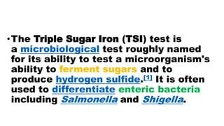 Tsi Media It S Interpretation PDF