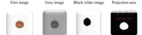 Image Processing Application Download Scientific Diagram
