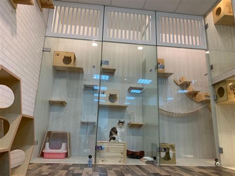 特色住宿｜東森寵物｜全台最大的連鎖寵物店