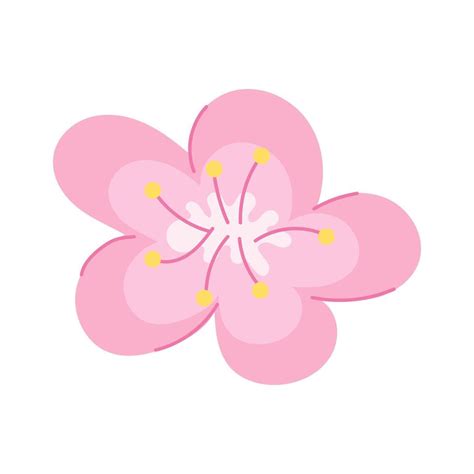 Spring Sakura Flower Illustration 55739799 Vector Art At Vecteezy