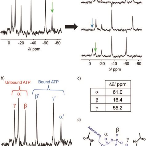 Two Views Of The X Ray Crystal Structure Of The Ternary Adduct Of Download Scientific Diagram