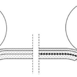 Schematic View Of The Fatigue Cracking Mechanism In Pavement Cross Download Scientific Diagram