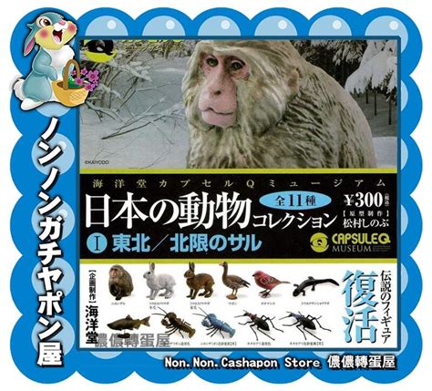 【儂儂轉蛋屋分館】『現貨扭蛋』海洋堂 日本的動物~全111款含隱藏co49 露天市集 全台最大的網路購物市集
