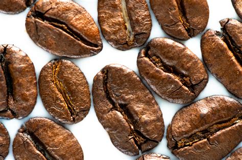 흰 우유 배경에 구운 커피 콩 우유에 커피 콩 아라비카 로부스타 이브리카 커피 씨앗의 최고 보기 매크로 샷 0명에 대한 스톡 사진 및 기타 이미지 Istock