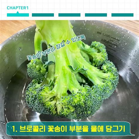 이렇게 브로콜리 씻게 되면 벌레 그대로 먹게 되는겁니다”