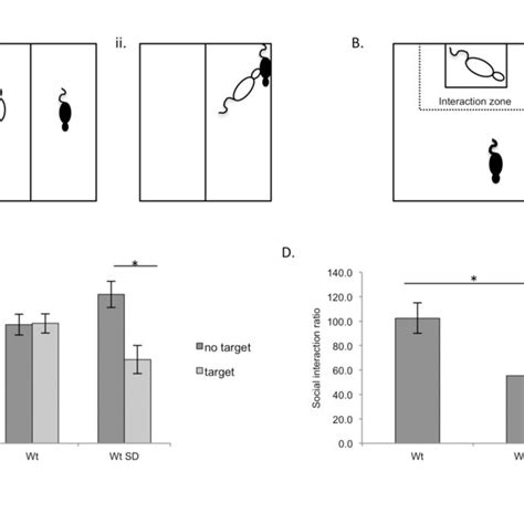 Kegg Pathway Analysis Reveal The Top 10 Pathways Affected Download