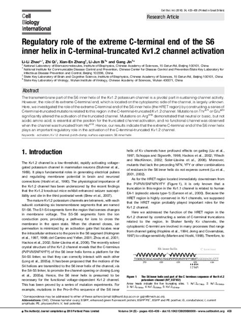 Pdf Regulatory Role Of The Extreme C Terminal End Of The S6 Inner