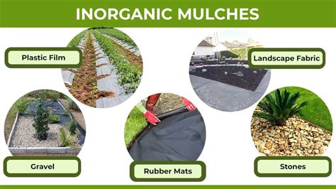Different Kinds Of Mulch