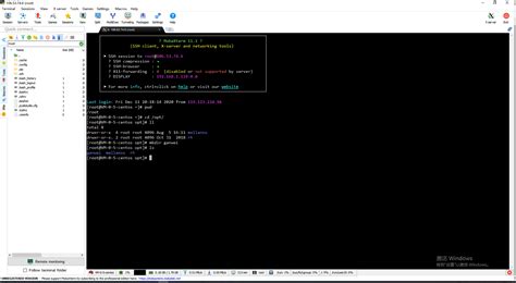 Linux安装 开发者中心