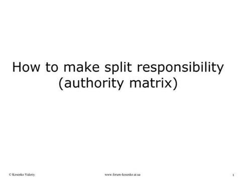 Responsibility Matrix Rm Pdf