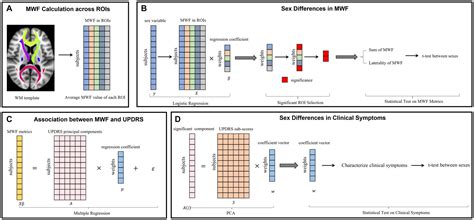 Frontiers Sex Myelin And Clinical Characteristics Of Parkinsons Disease