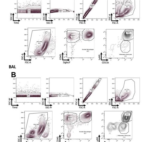 Figure Supplement 2 FACS Gating Strategy 1291 Identification Of