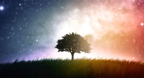 Tree Symbolism And Tree Meaning For Guidance On Whats Your Sign