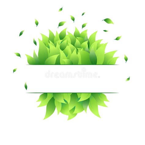 Text Shape With Green Leaves Text Box Floral Frame On White Background Summer Border Stock