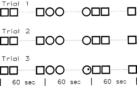 Figure 1 From The Steady State Visually Evoked Potential And Topography And Vigilance Semantic