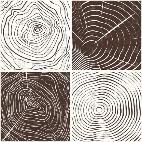 Vector Tree Rings At Vectorified Com Collection Of Vector Tree Rings Free For Personal Use