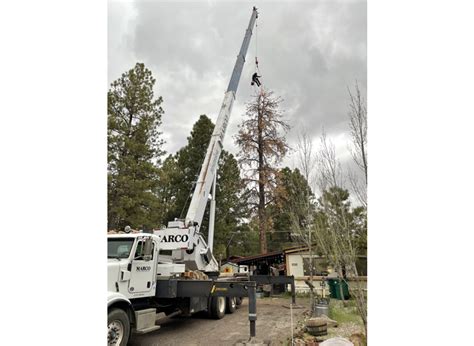 Candm Tree Service Llc Flagstaff Arizona Treecarehq