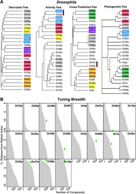 Expanding The Olfactory Code By In Silico Decoding Of Odor Receptor