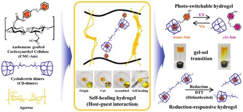 Light Responsive Controlled Drug Release System Based On Azobenzene