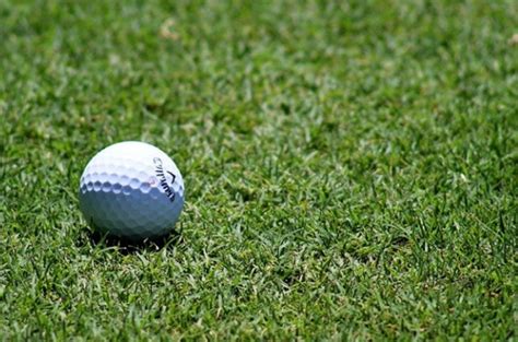 부산 스크린골프임대 골프연습장 사상에 위치 네이버 블로그