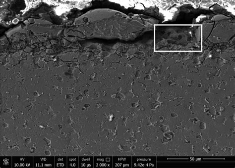 Micro Morphology By Stress Without Covered Recast Layer 2000 × Download Scientific Diagram