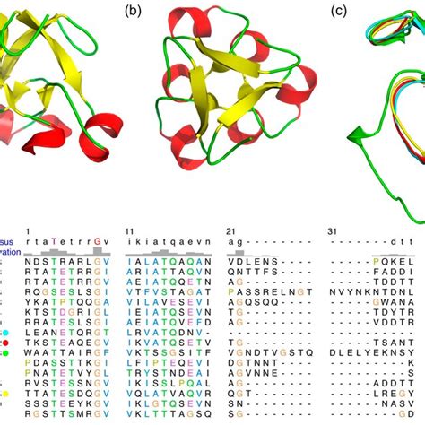 Structure Comparison Of N Terminal Domains And Repeating Sequences Of Download Scientific