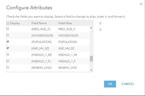 Using Local Date And Number Formatting In Arcgis Online