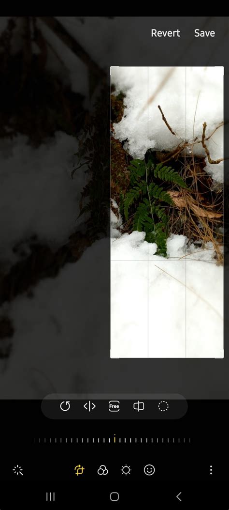 Crop Rotate And Resize Images Perfectly By Gloriousimaging Fiverr