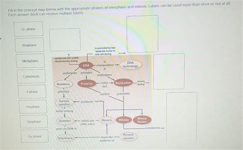 Solved Fill In The Concept Map Below With The Appropriate