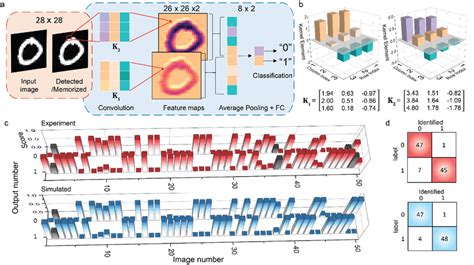Bp Ppt Array Optoelectronic Cnn For Image Recognition A A Cnn Model Download Scientific