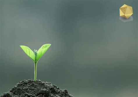 Digital Nugget Not The End Of Attractive Crypto Yields Sygnum Bank