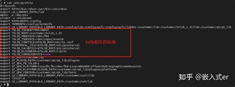 Lvgl V Linux Tslib Ssd