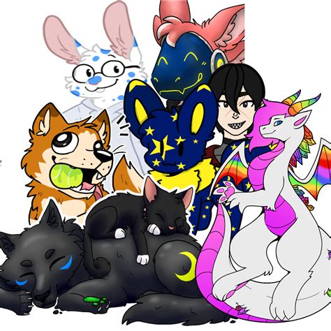 Anicord The Discord Network