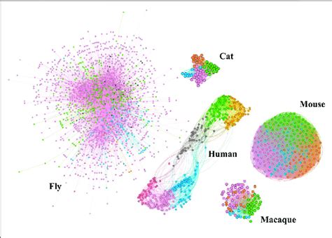 Community Topology Of Brain Structural Networks For Different Download Scientific Diagram