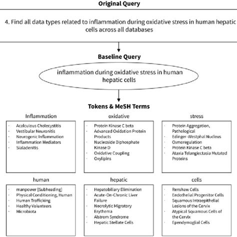 Example Query Processing Download Scientific Diagram