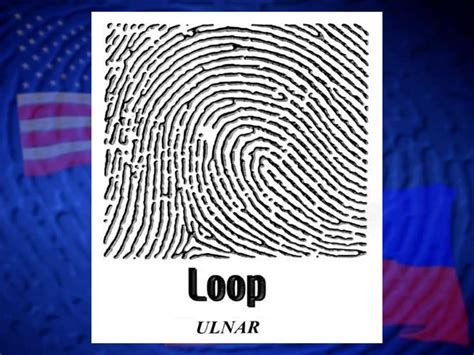 Fingerprint Classification Loop Patterns Pptx