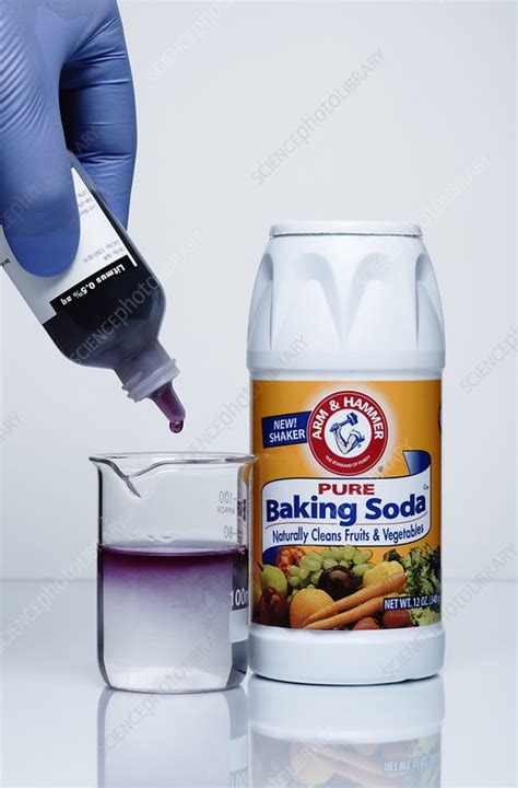 Litmus Indicator Stock Image C036 3297 Science Photo Library