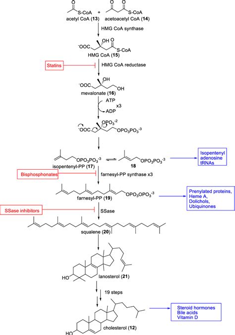 Figure 1 12 From Synthesis Of Alkyl Citrate Natural Products Semantic Scholar