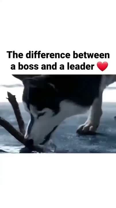 Video Atharva Kodag On Linkedin Boss Leader