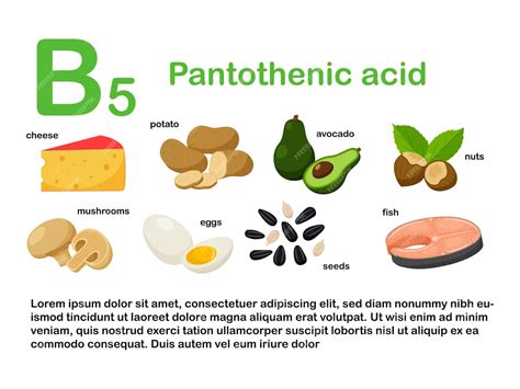 Premium Vector Rectangular Poster With Food Products Containing Vitamin B5 Pantothenic Acid