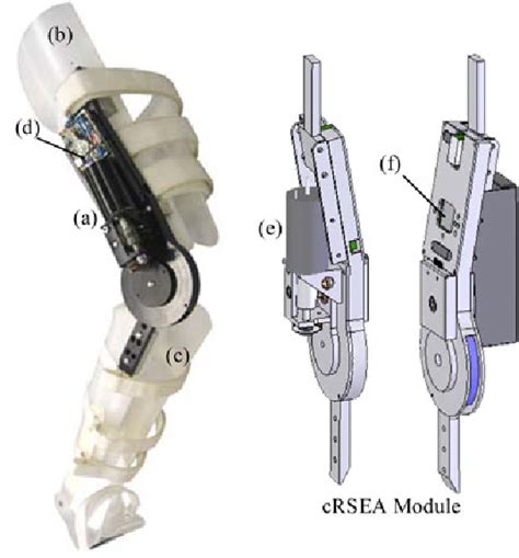 [pdf] A Compact Rotary Series Elastic Actuator For Human Assistive Systems Semantic Scholar
