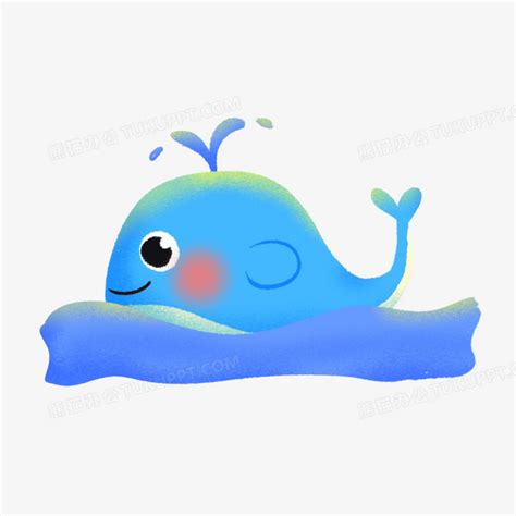 一组卡通手绘可爱动物合集之鲸鱼PNG图片素材下载 可爱PNG 熊猫办公