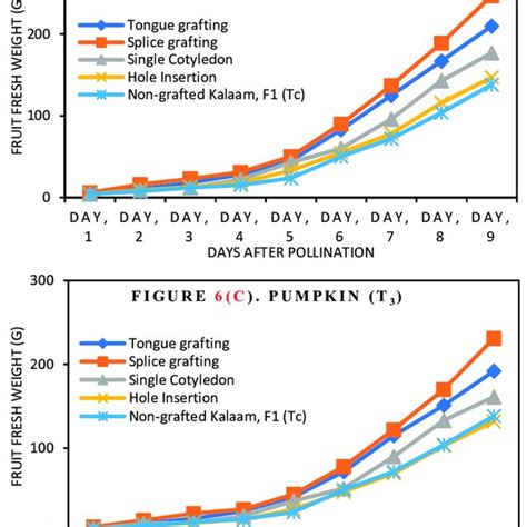 A D E↵ect Of Scionrootstocks Combinations Grafting On Fresh Download Scientific Diagram