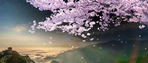 山重水复疑无路，柳暗花明又一村。人生海上那一年