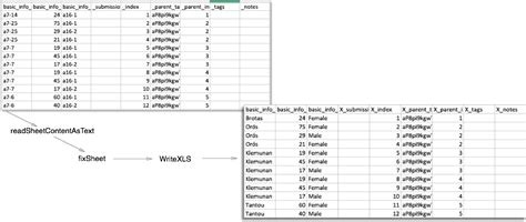 Kobotoolbox Data Issue How We Fixed With R Anjesh Tuladhar Medium